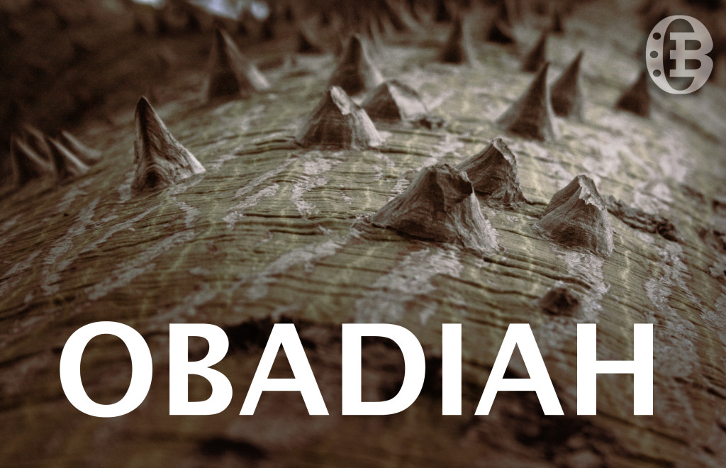 obadiah-overview-bible-minor-prophet-summary - OverviewBible