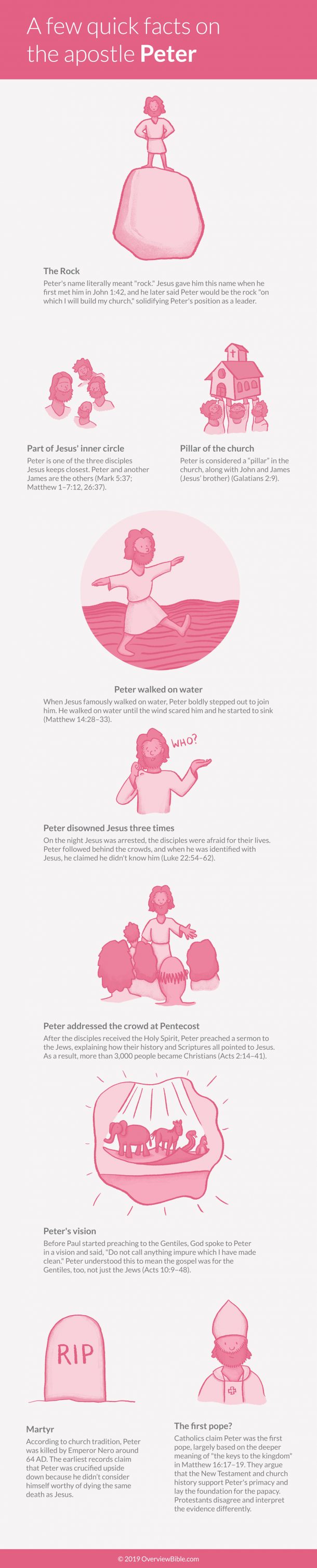 Who Was the Apostle Peter? The Beginner's Guide - OverviewBible